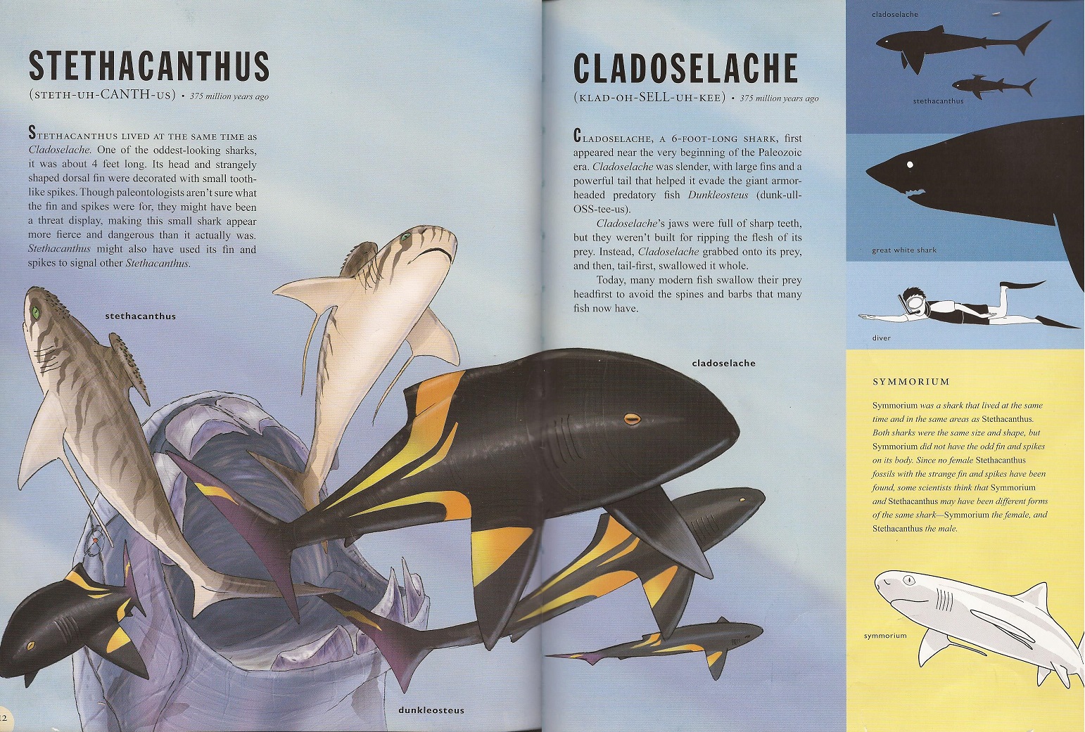 Shark Week – Paleo Sharks: Survival of the Strangest – Dino Dad Reviews