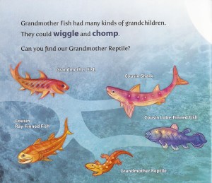 Grandmother Fish – Dino Dad Reviews
