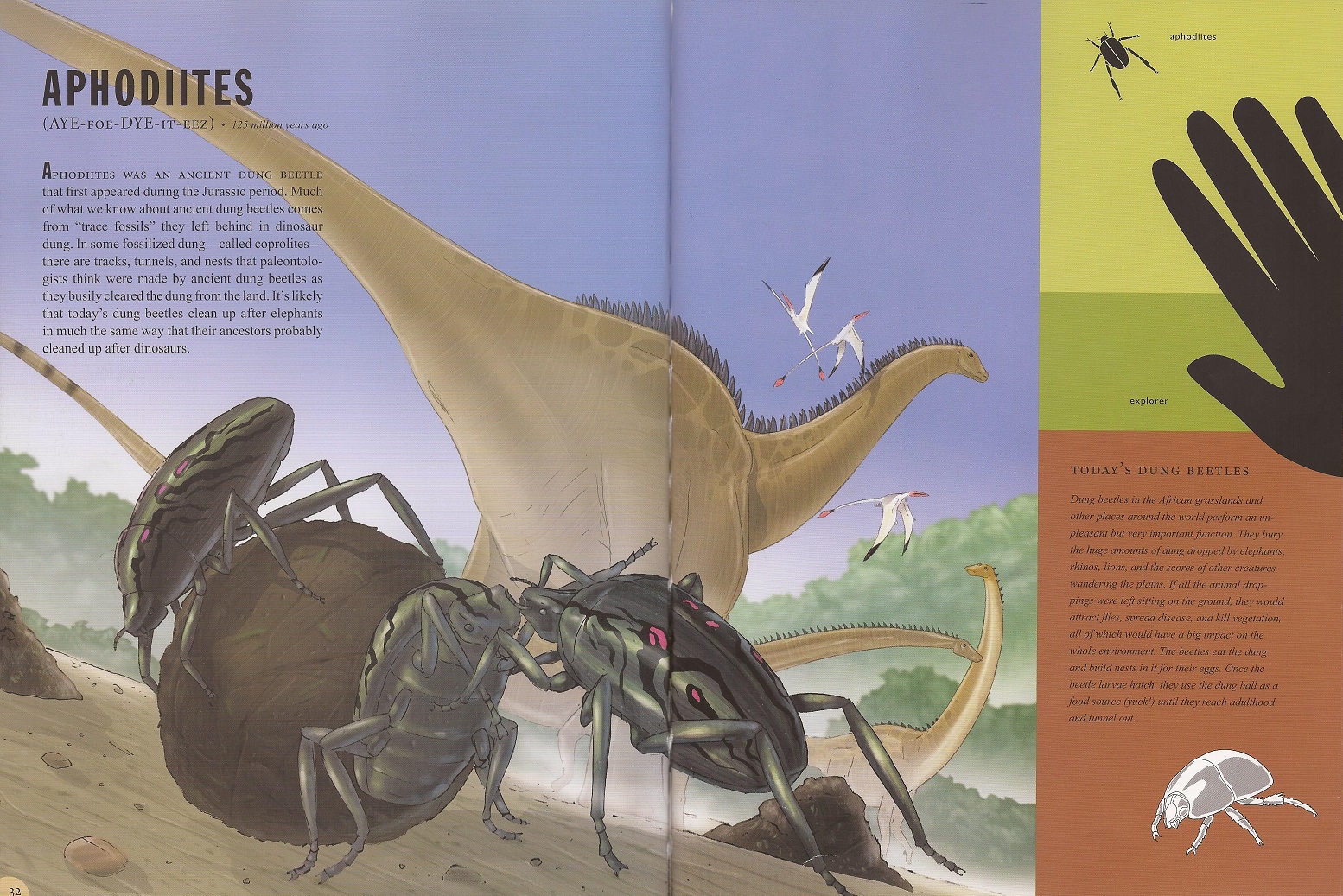 Paleo Bugs: Survival of the Creepiest – Dino Dad Reviews