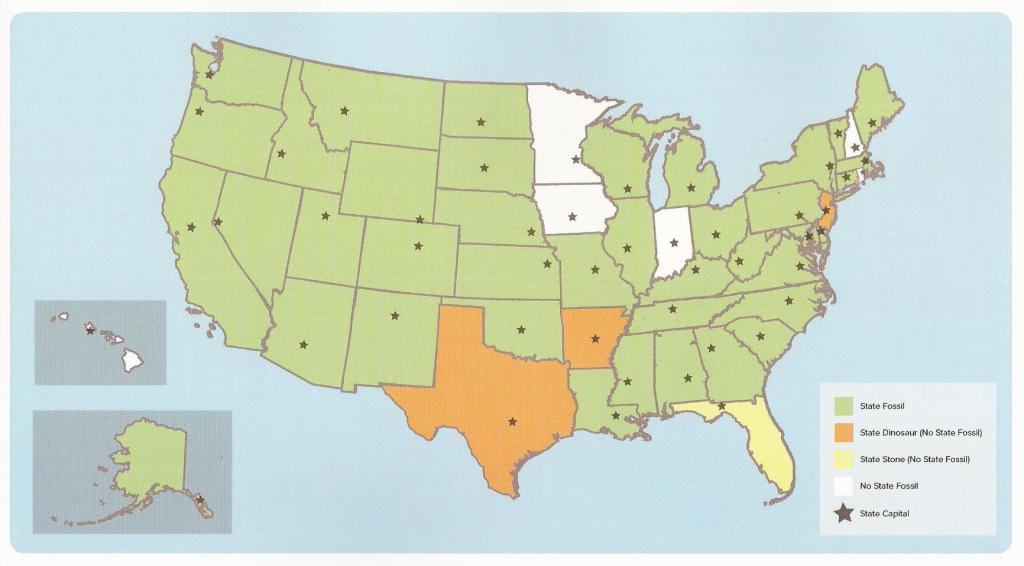 The 50 State Fossils – Dino Dad Reviews