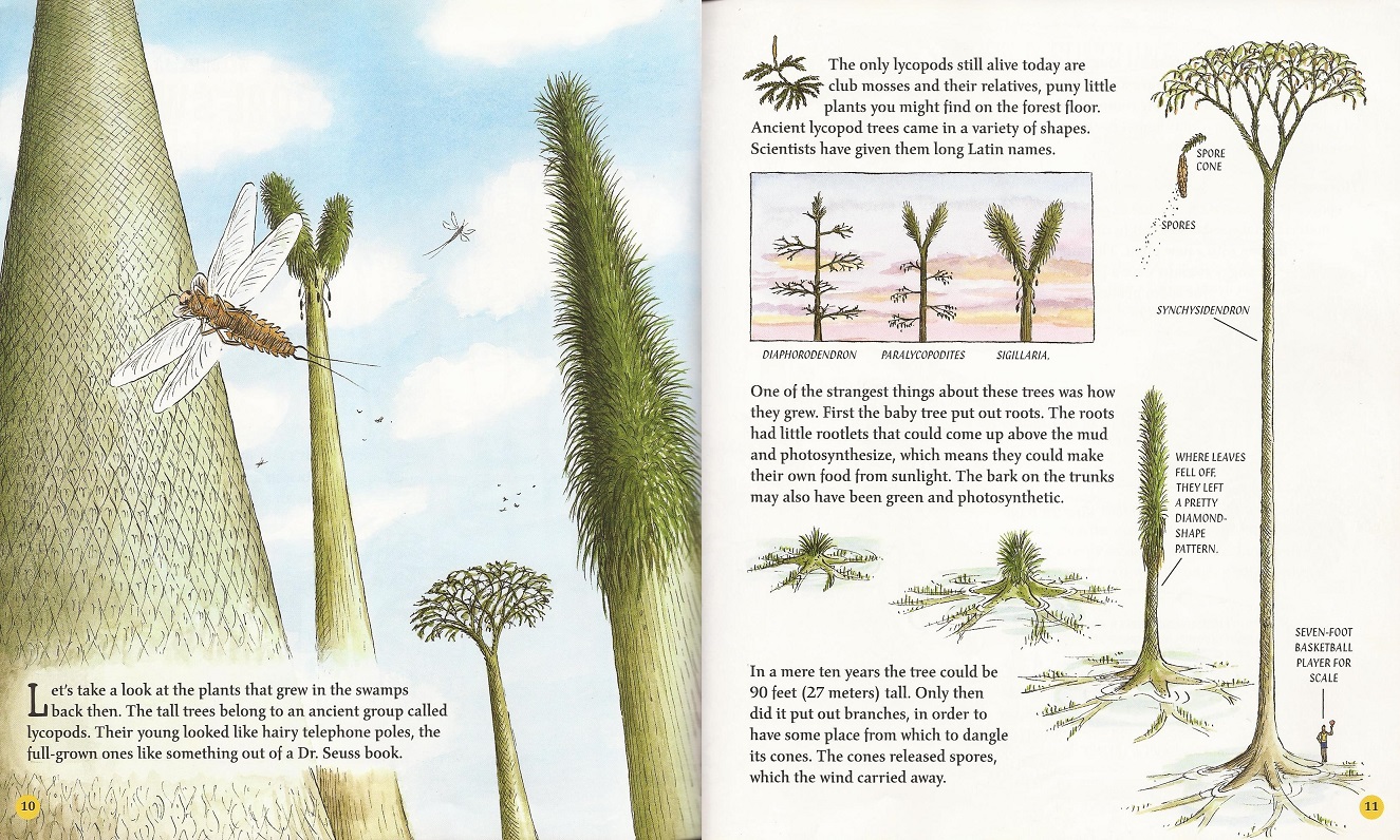 When Bugs Were Big, Plants Were Strange, and Tetrapods Stalked the ...