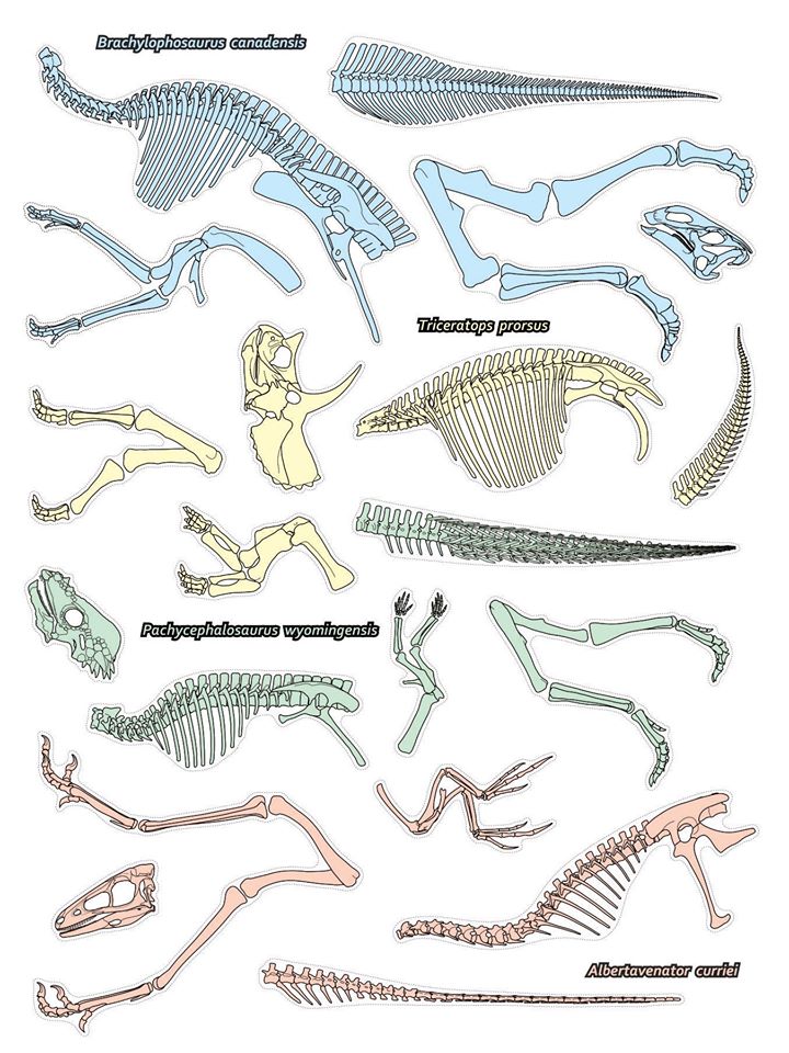 Danielle Dufault cutouts 1 – Dino Dad Reviews