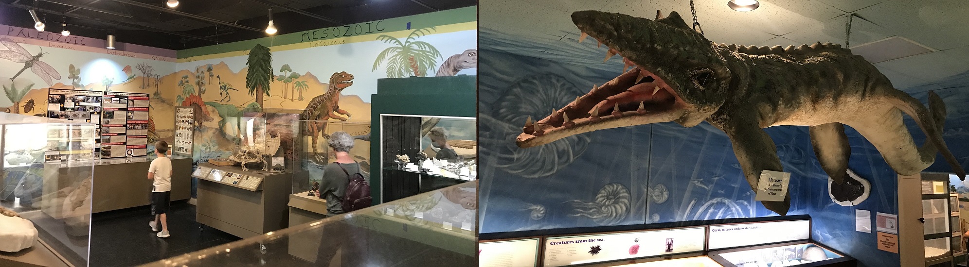 Heard Natural Science Museum – Dino Dad Reviews
