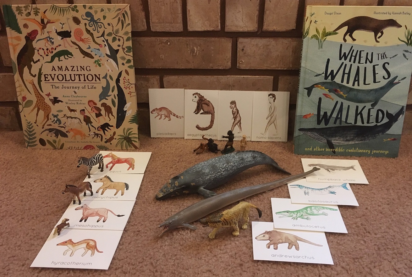 Fiddlesticks Education – Dino Dad Reviews