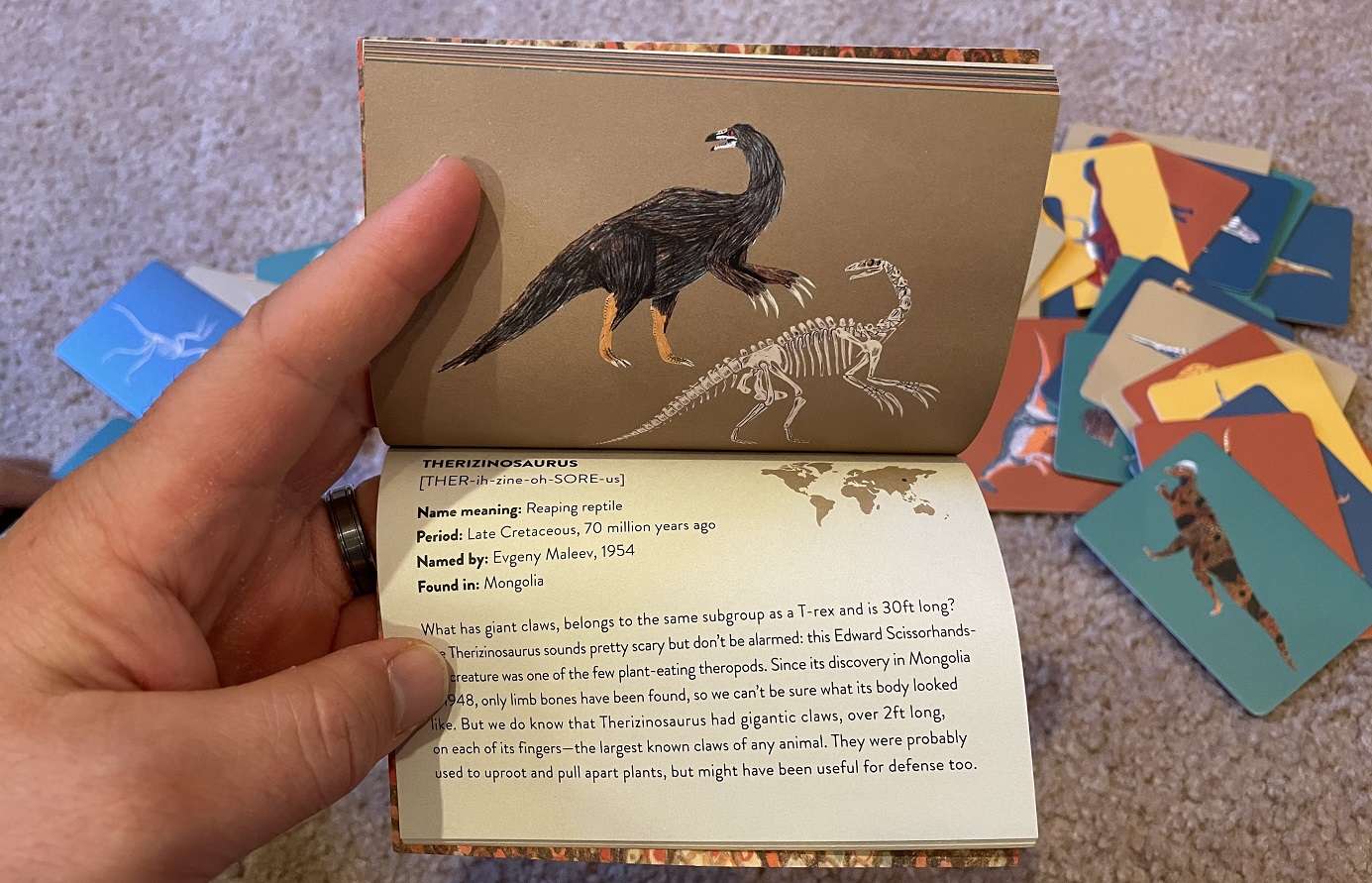 Match These Bones – Dino Dad Reviews