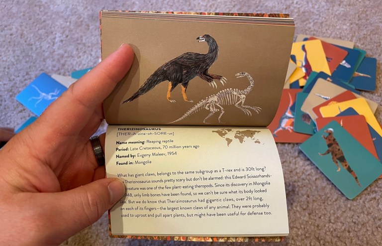 Match These Bones – Dino Dad Reviews