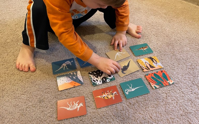 Match These Bones – Dino Dad Reviews
