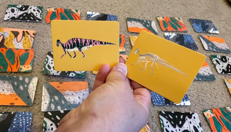 Match These Bones – Dino Dad Reviews