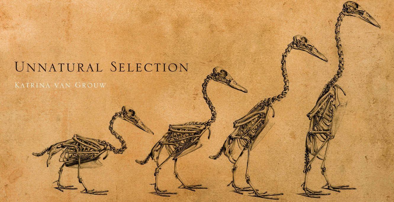 Unnatural Selection – Dino Dad Reviews