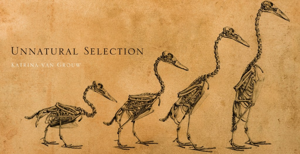 Unnatural Selection – Dino Dad Reviews