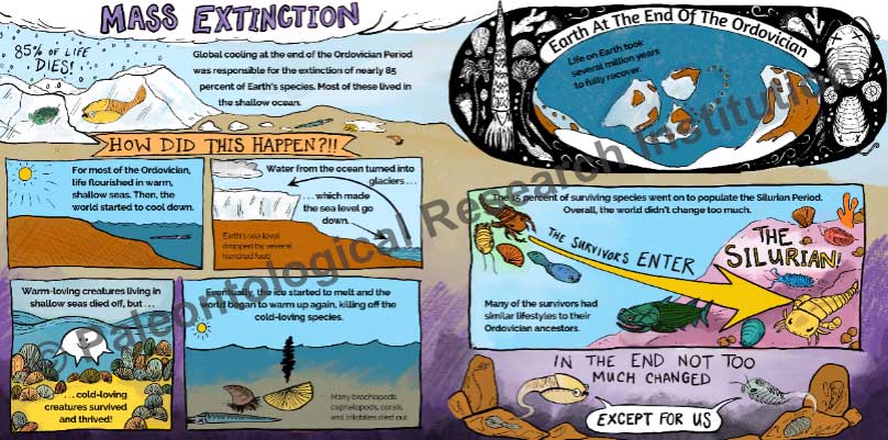 Into The Ordovician – Dino Dad Reviews