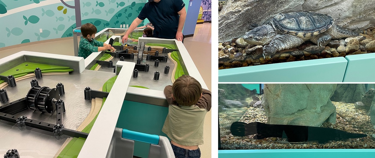 Mayborn Museum – Dino Dad Reviews