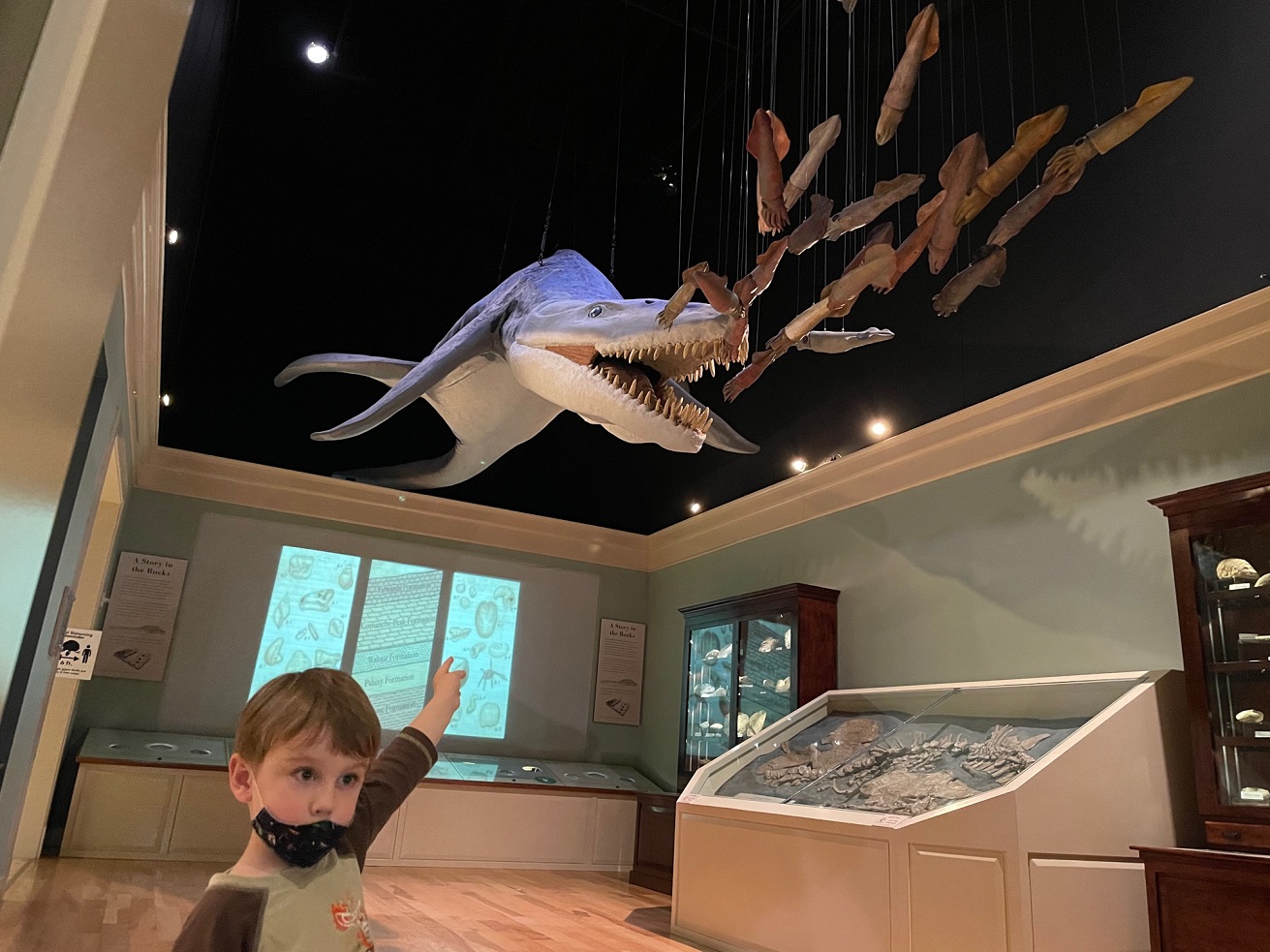 Mayborn Museum – Dino Dad Reviews
