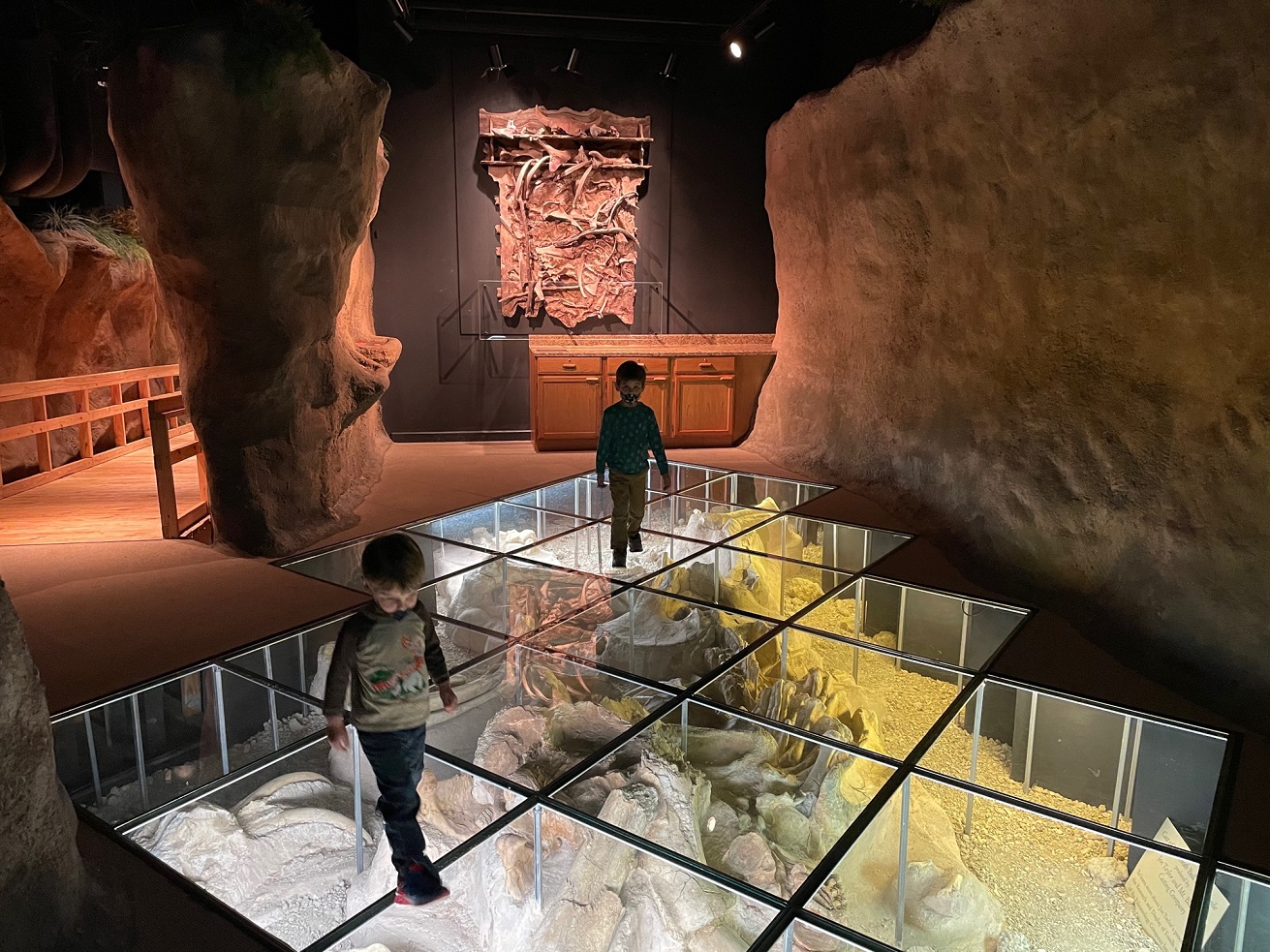 Mayborn Museum – Dino Dad Reviews