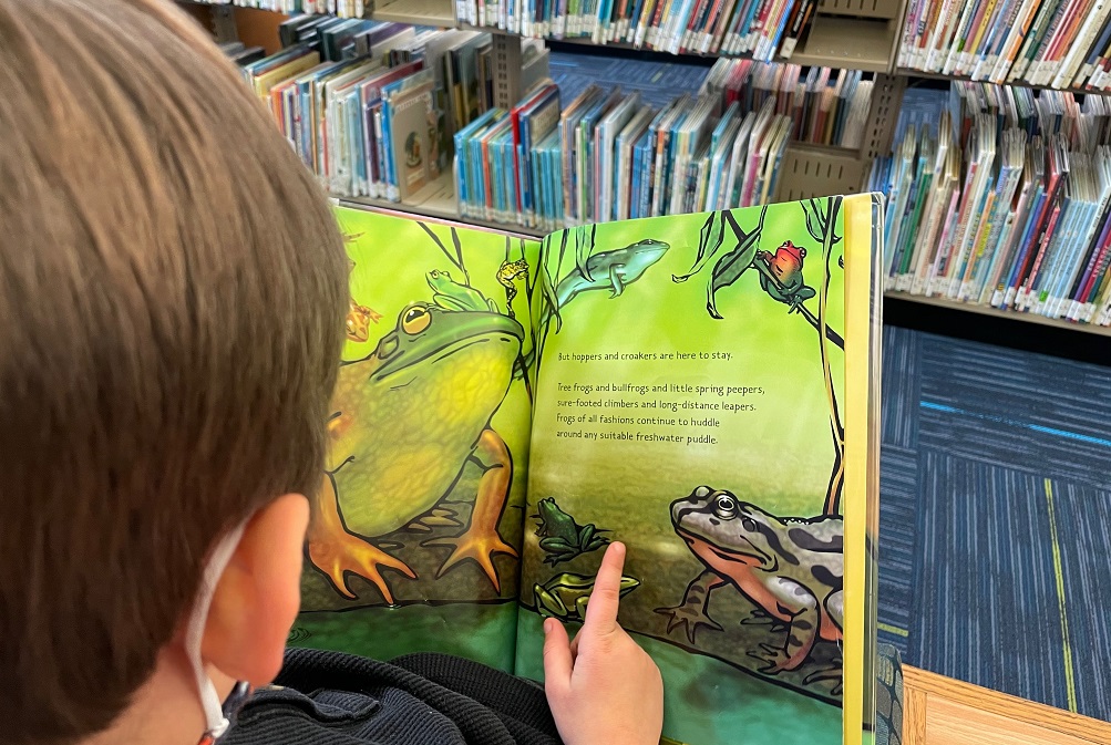 Tadpole Rex – Dino Dad Reviews