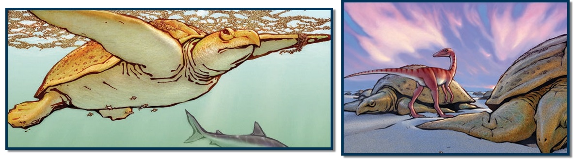 The Voyage of Turtle Rex – Dino Dad Reviews