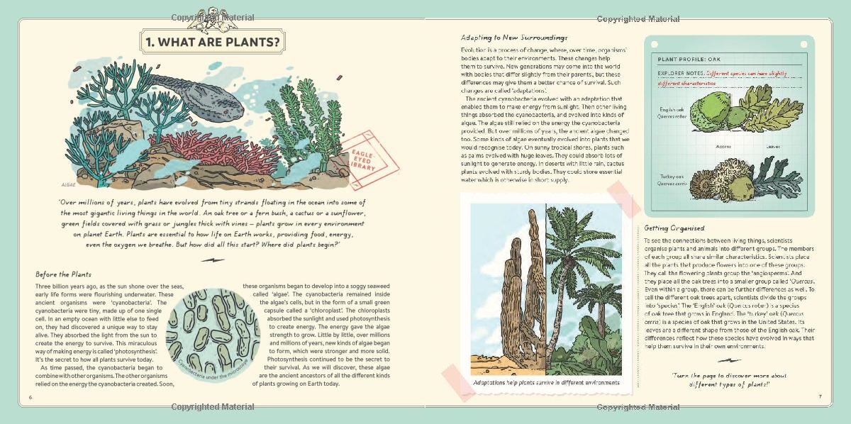 Plants! Explorer – Dino Dad Reviews