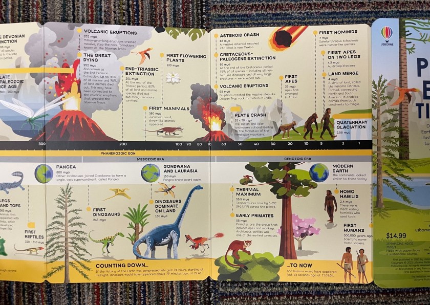 Usborne Fold-Out Timeline Books – Dino Dad Reviews