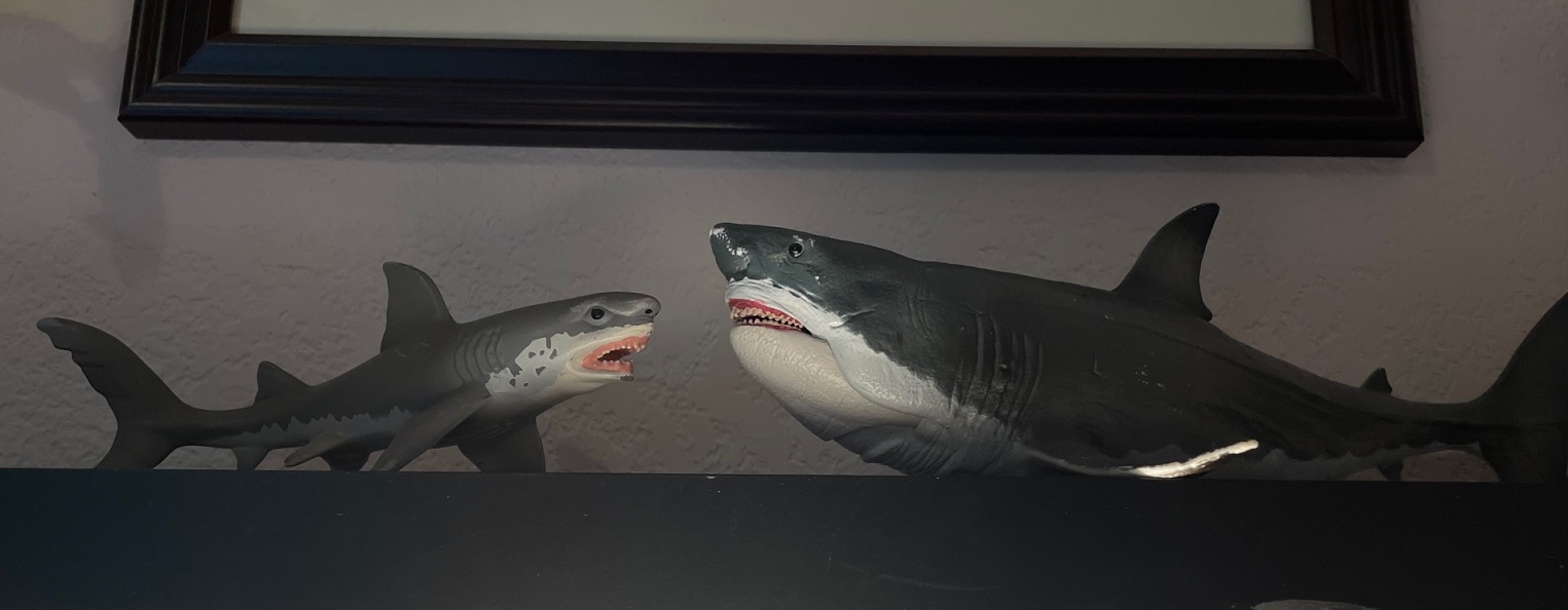 Shark Week – CollectA Megalodon – Dino Dad Reviews