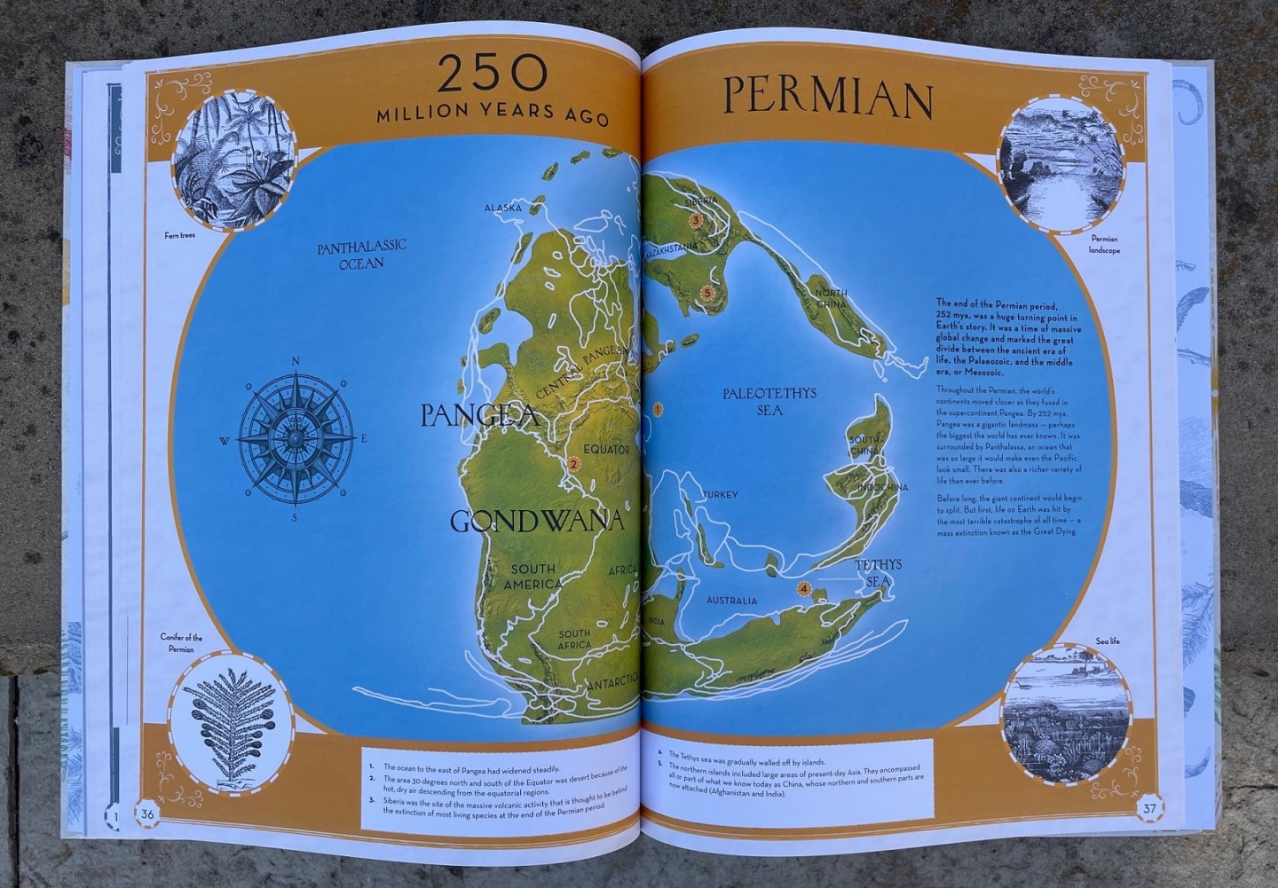 Continental Drift (Martin Ince) – Dino Dad Reviews
