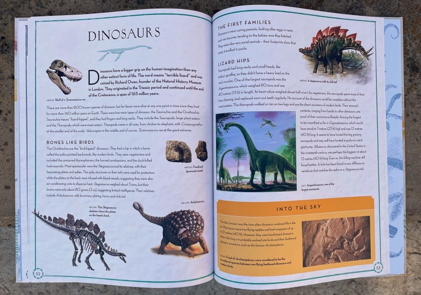 Continental Drift (Martin Ince) – Dino Dad Reviews