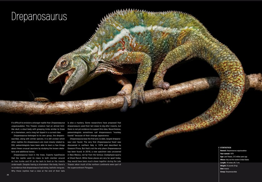 Dinosaurs: Profiles from a Lost World – Dino Dad Reviews