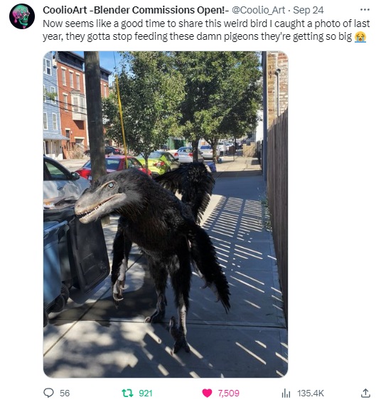 Weird Birds – Dino Dad Reviews