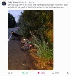 Weird Birds – Dino Dad Reviews