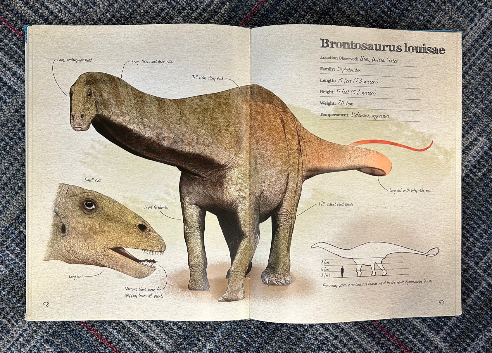 Ancient Earth Journal series – Dino Dad Reviews