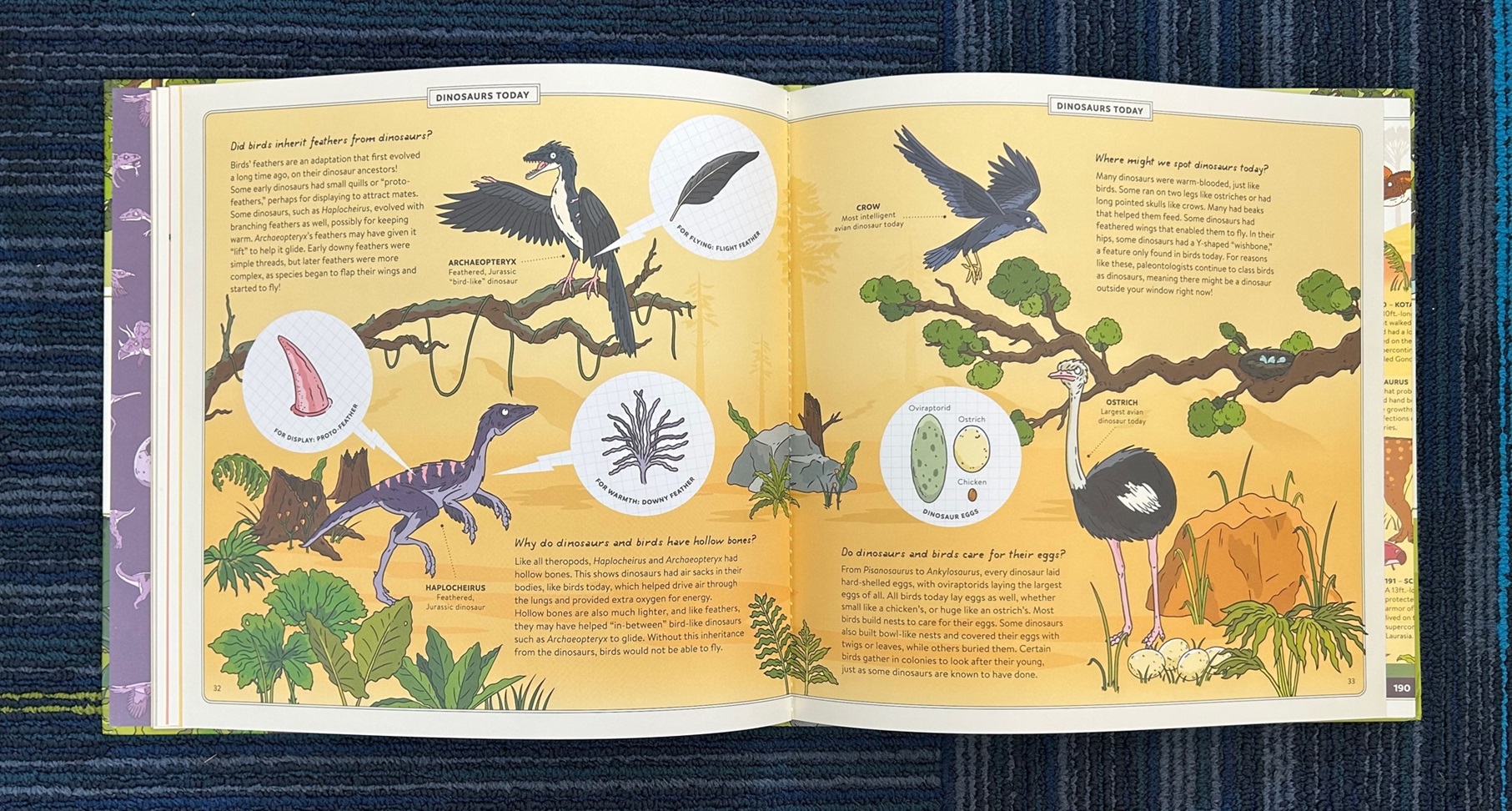 Dinosaurs! Explorer – Dino Dad Reviews