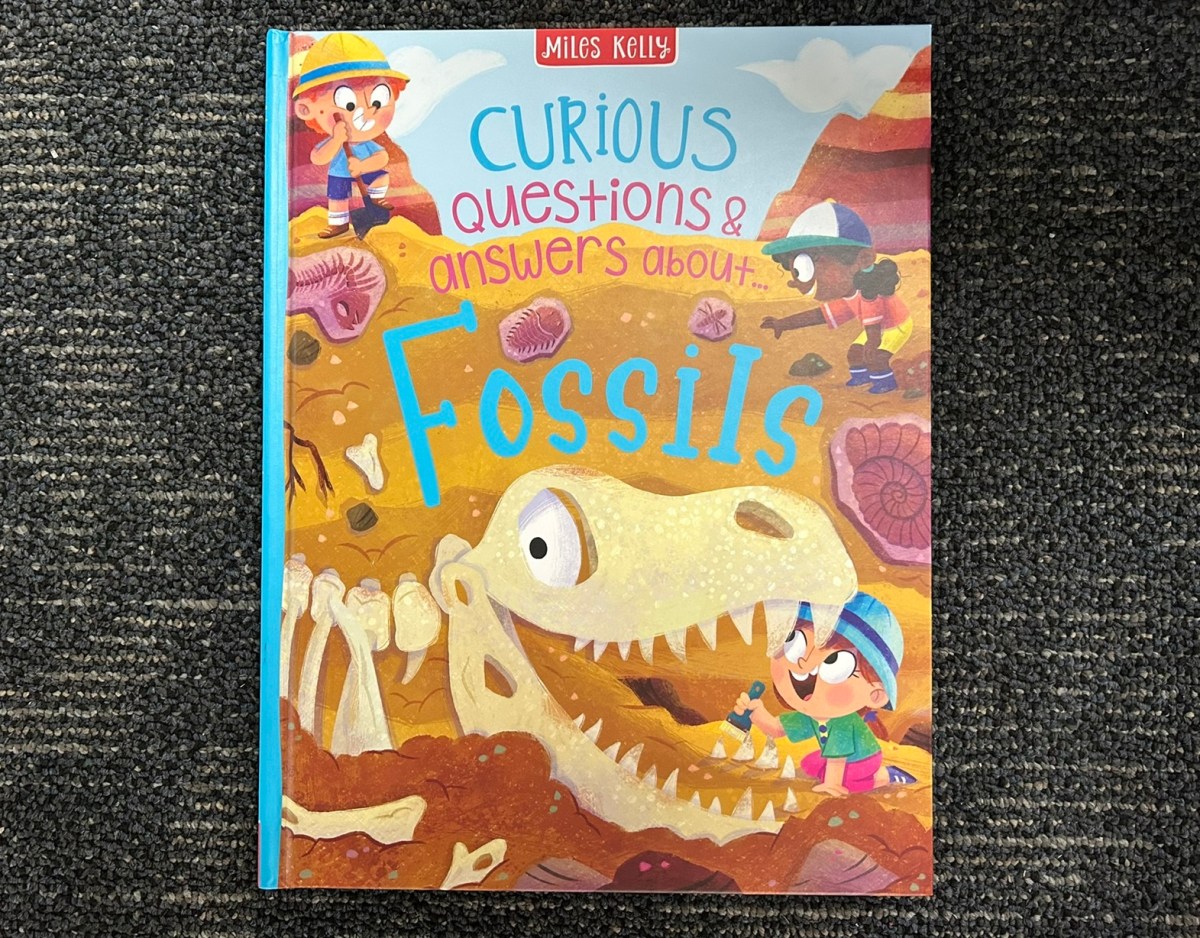 Curious Questions and Answers About Fossils – Dino Dad Reviews