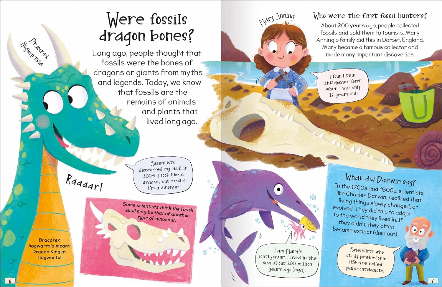 Curious Questions and Answers About Fossils – Dino Dad Reviews