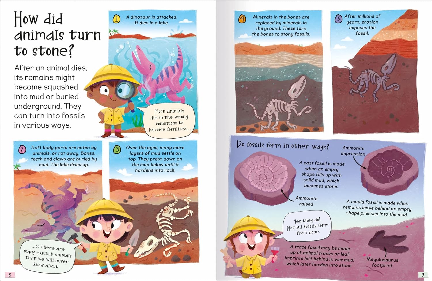 Curious Questions and Answers About Fossils – Dino Dad Reviews