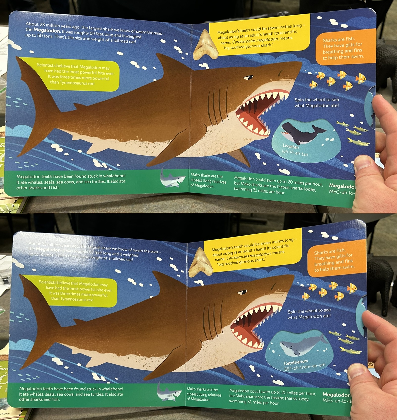 Prehistoric Deep Sea – Dino Dad Reviews