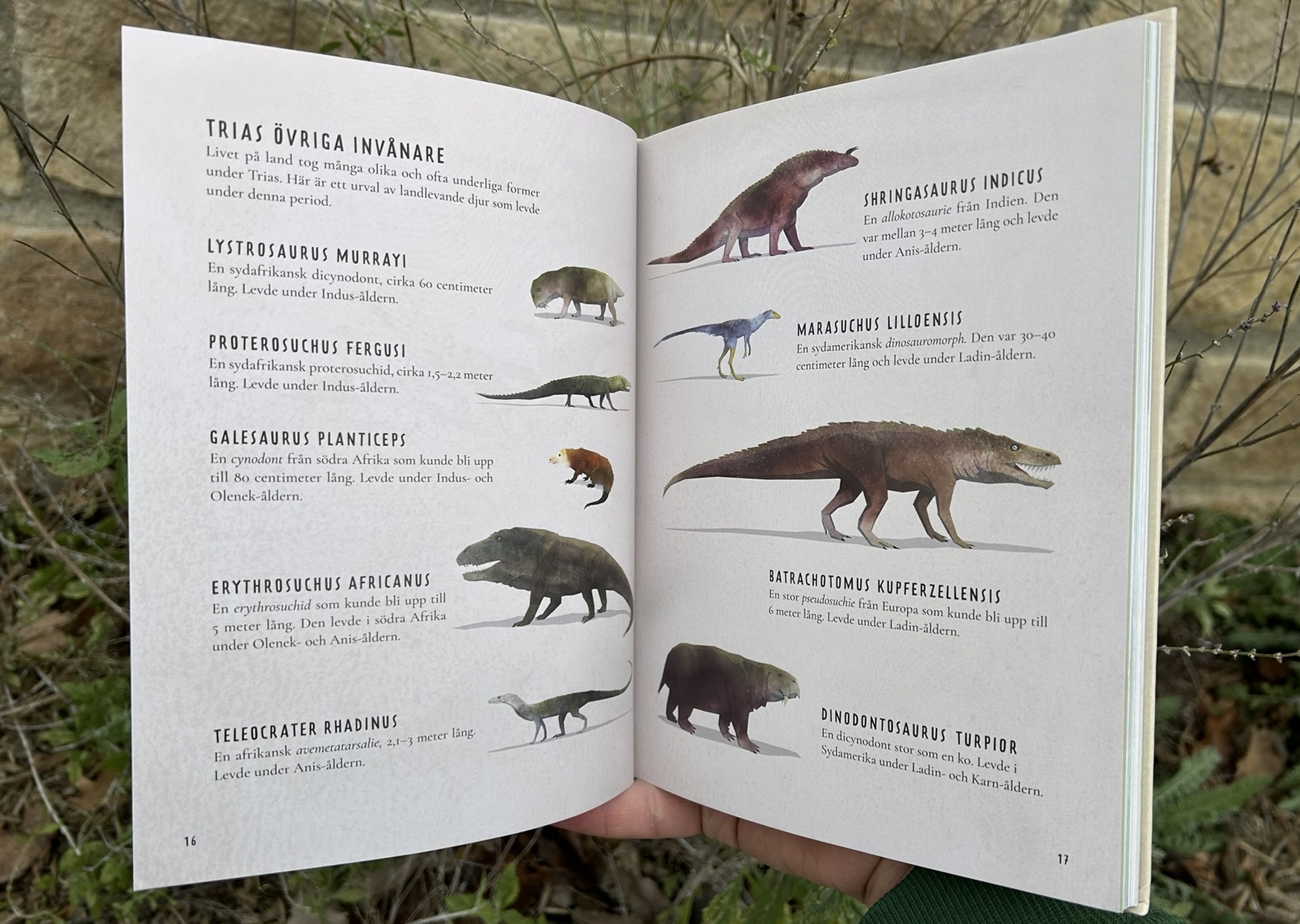 De första dinosaurierna – Dino Dad Reviews