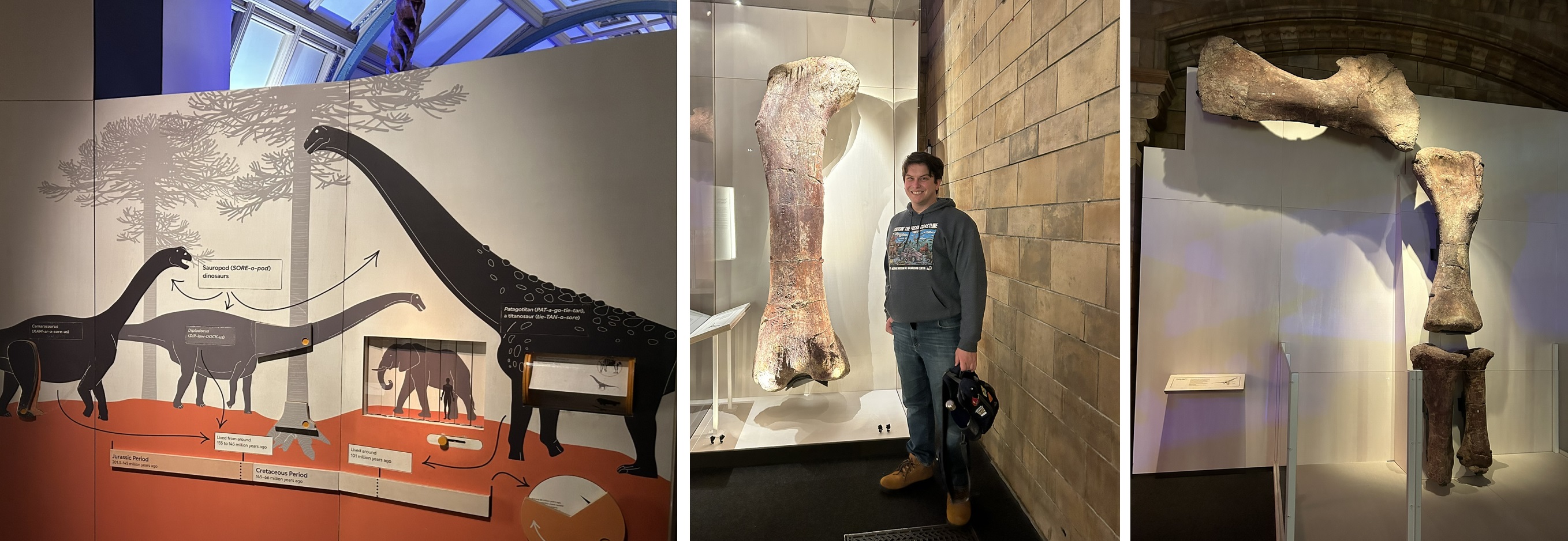A Tale of Two Titanosaurs – Dino Dad Reviews