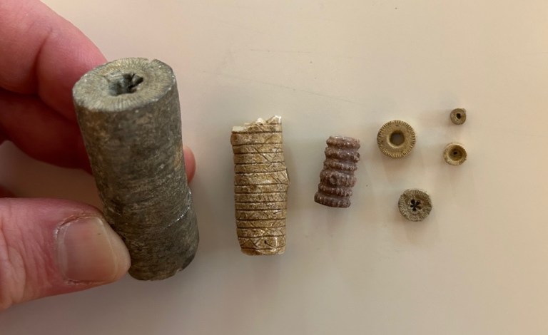 Crinoid Craft – Dino Dad Reviews