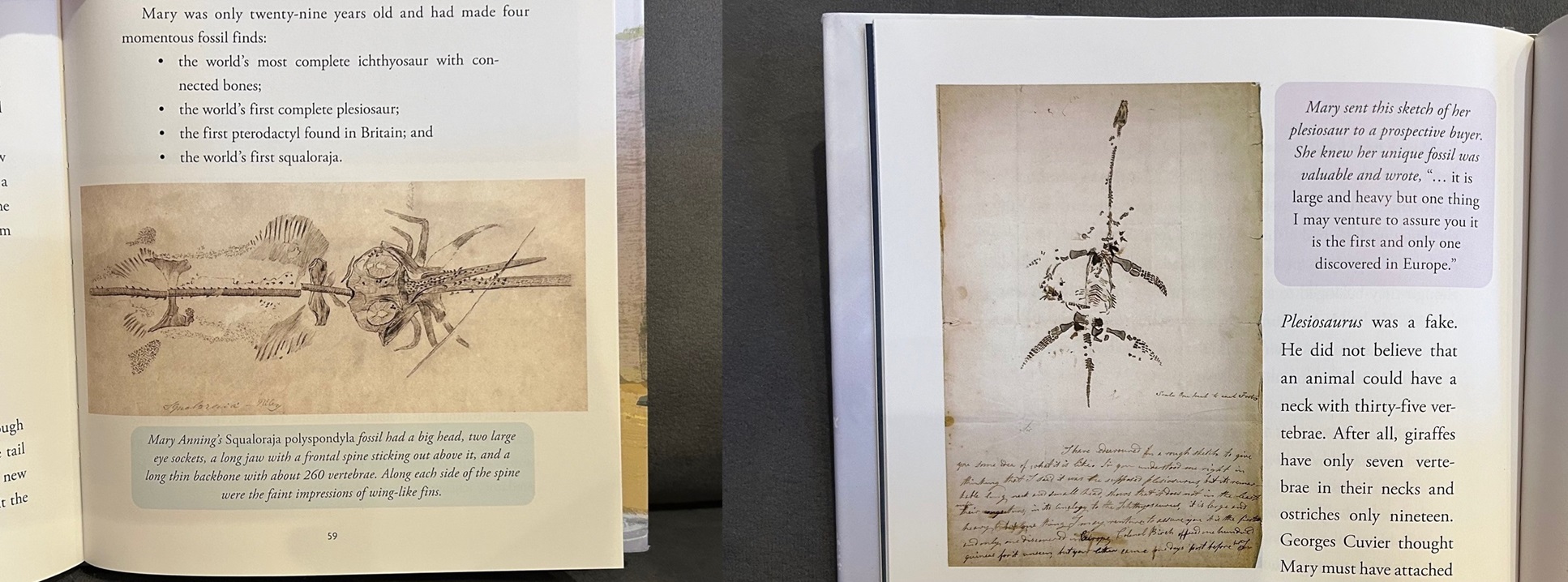 (The) Fossil Hunter: a Pair of Mary Anning Books – Dino Dad Reviews