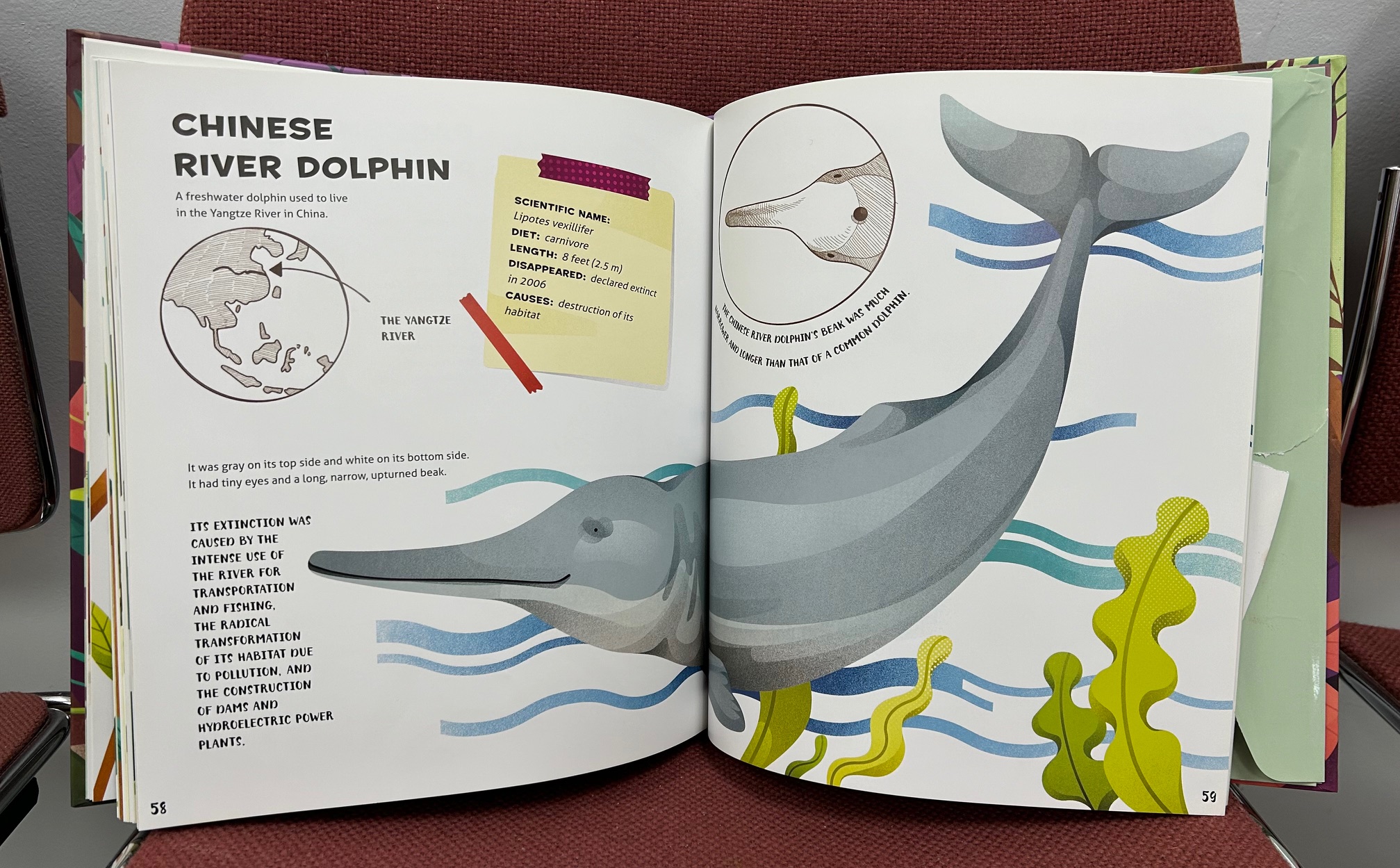 Weird and Wonderful Extinct Animals – Dino Dad Reviews