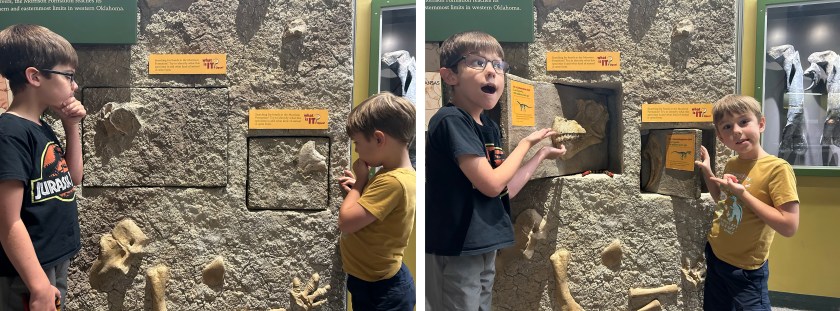 Sam Noble Oklahoma Museum of Natural History – Dino Dad Reviews