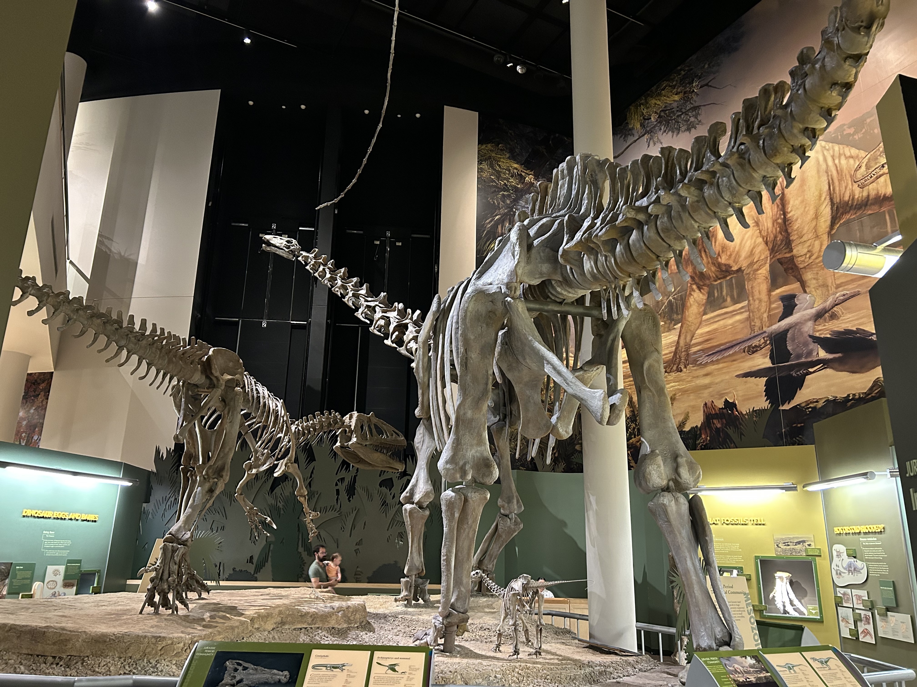 Sam Noble Oklahoma Museum of Natural History – Dino Dad Reviews