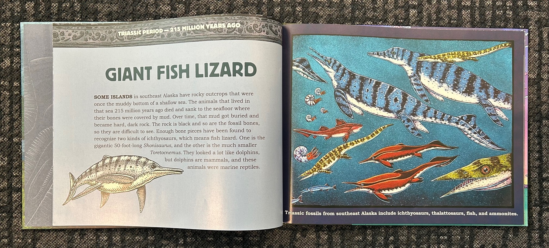 Alaska Dinosaurs, Mammoths, and More – Dino Dad Reviews