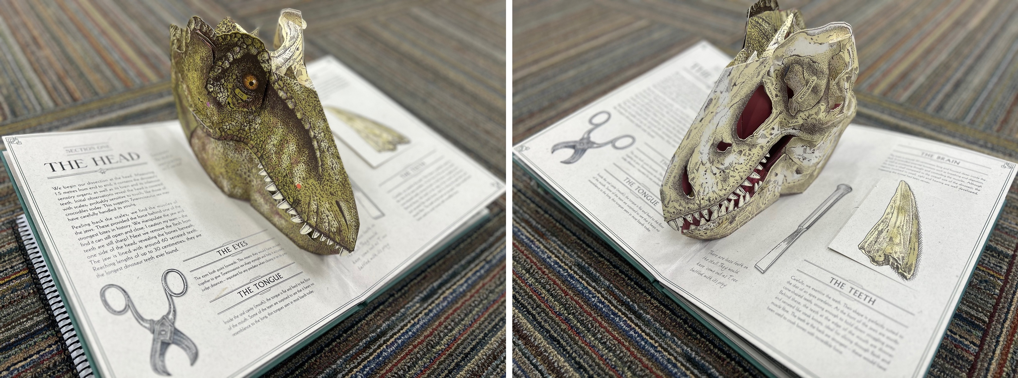 Tyrannosaurus rex: A Pop-Up Guide to Anatomy – Dino Dad Reviews