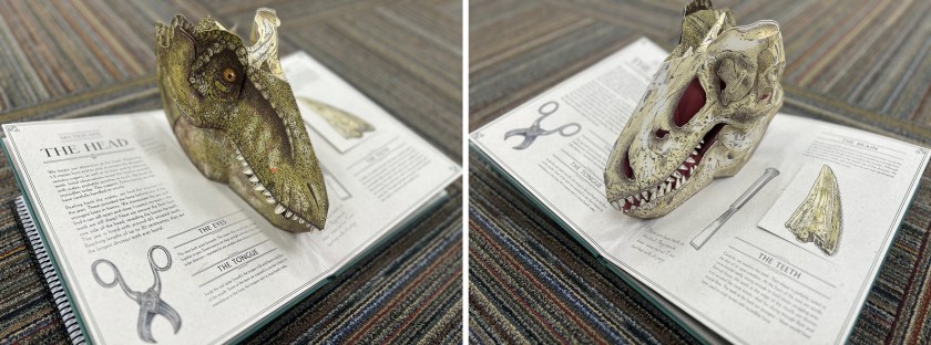 Tyrannosaurus rex: A Pop-Up Guide to Anatomy – Dino Dad Reviews