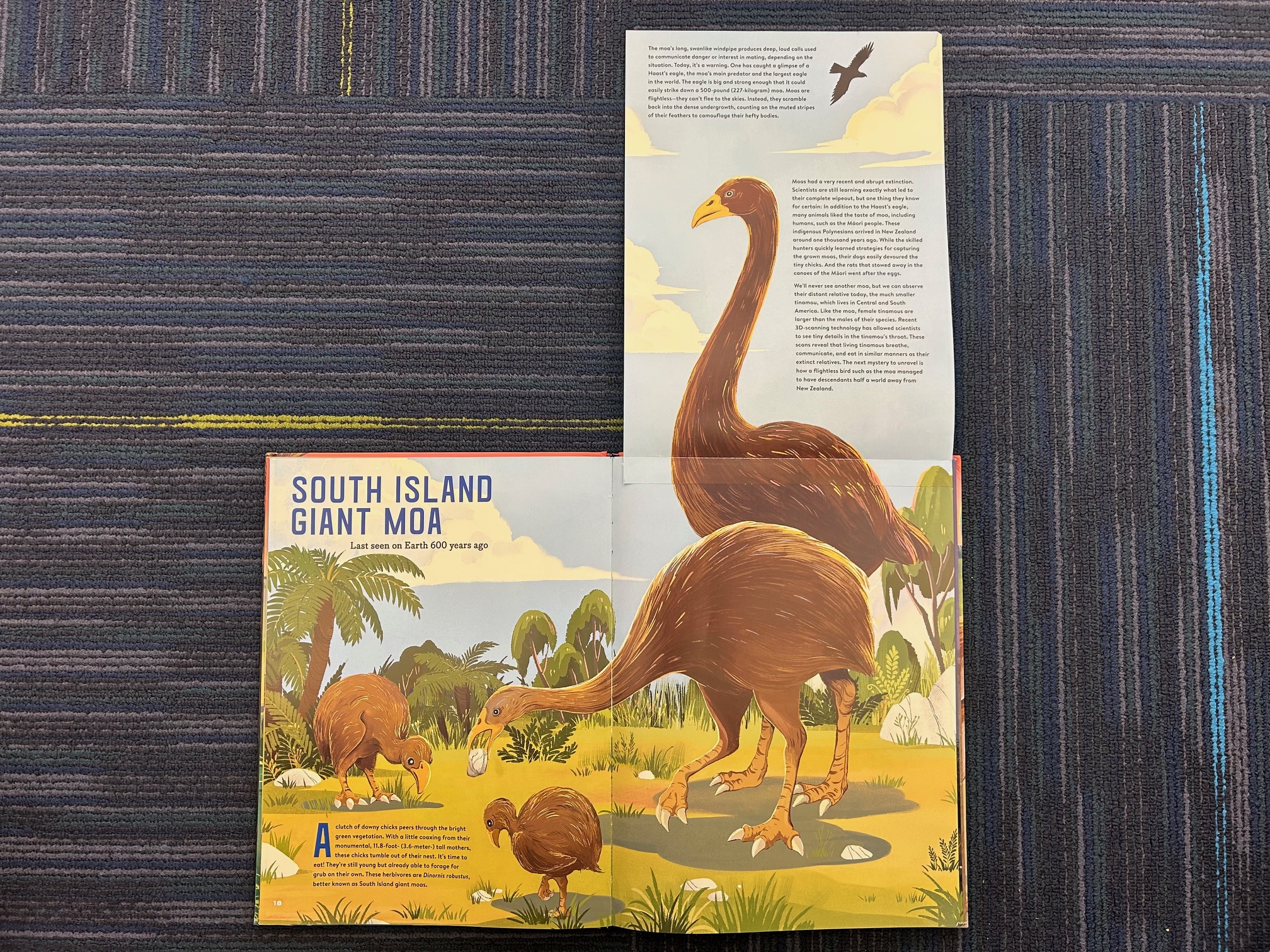 Meet the Megafauna! – Dino Dad Reviews