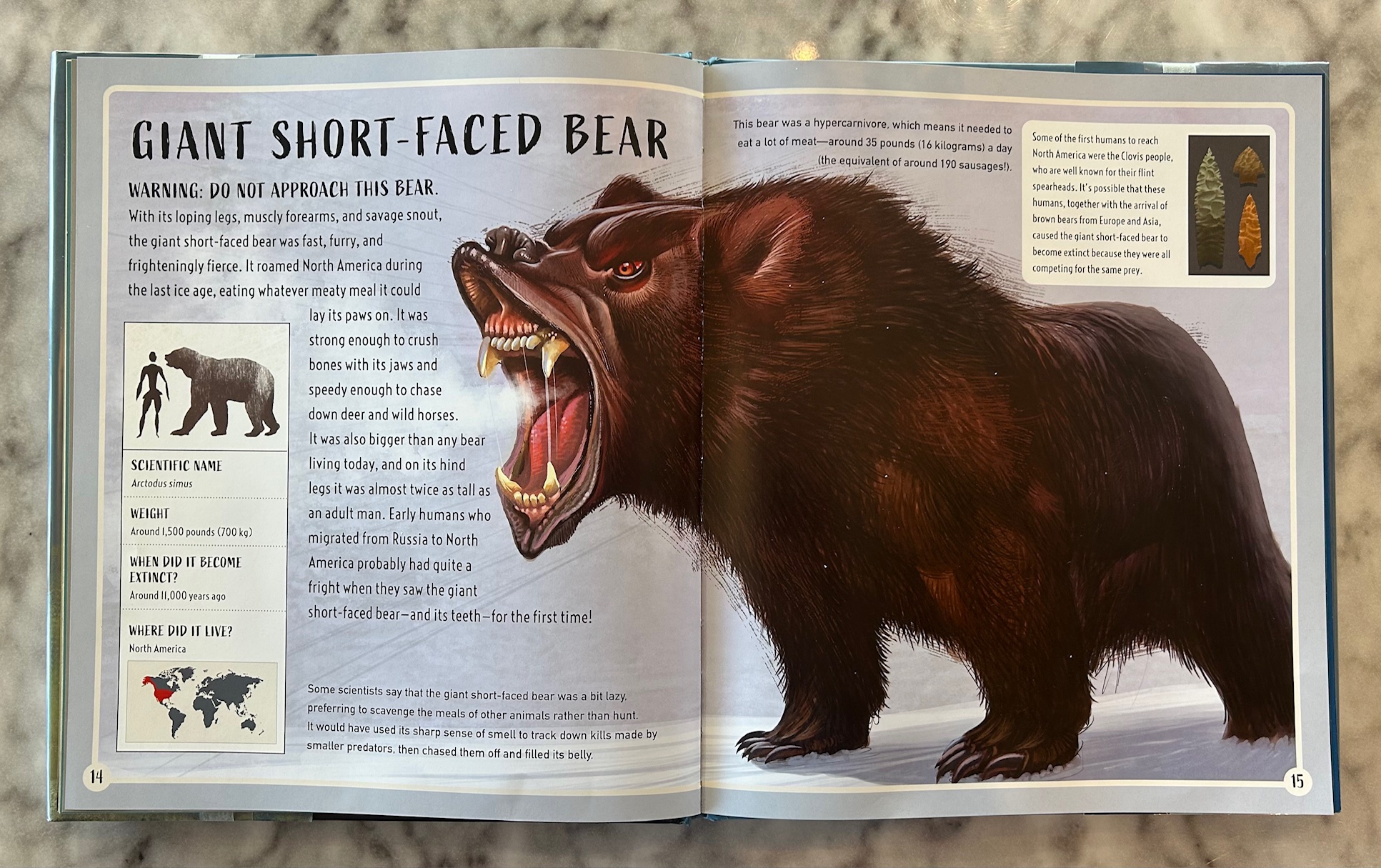 Stone Age Beasts – Dino Dad Reviews