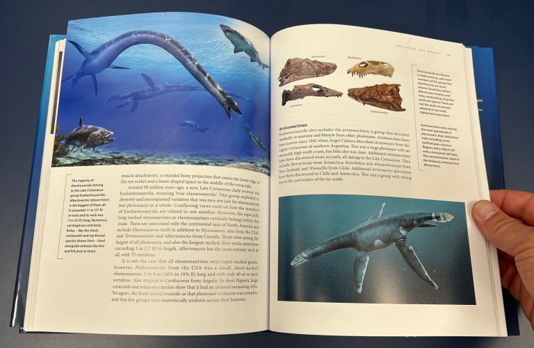 Ancient Sea Reptiles – Dino Dad Reviews
