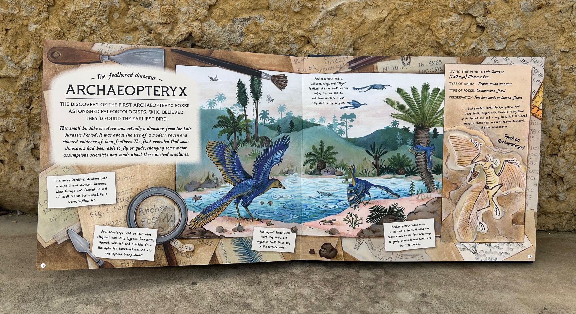 The Fossil Keeper’s Treasure – Dino Dad Reviews