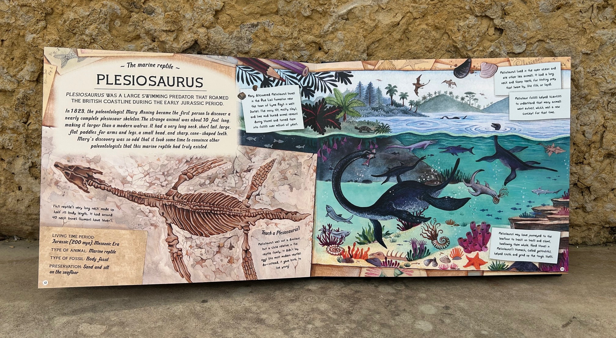 The Fossil Keeper’s Treasure – Dino Dad Reviews