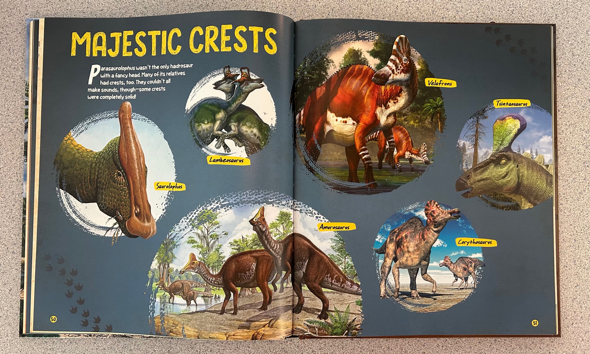I Know Dino! – Dino Dad Reviews